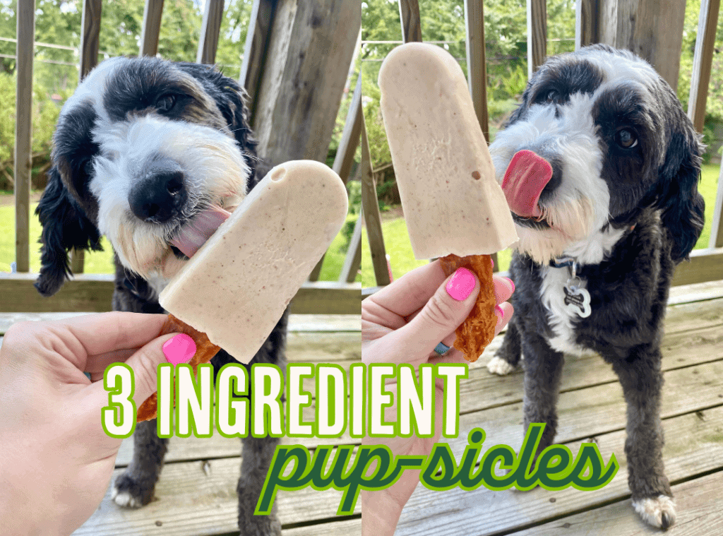 Hot Weather Recipe: 3 Ingredient "Pup"sicles! | Waggin Train